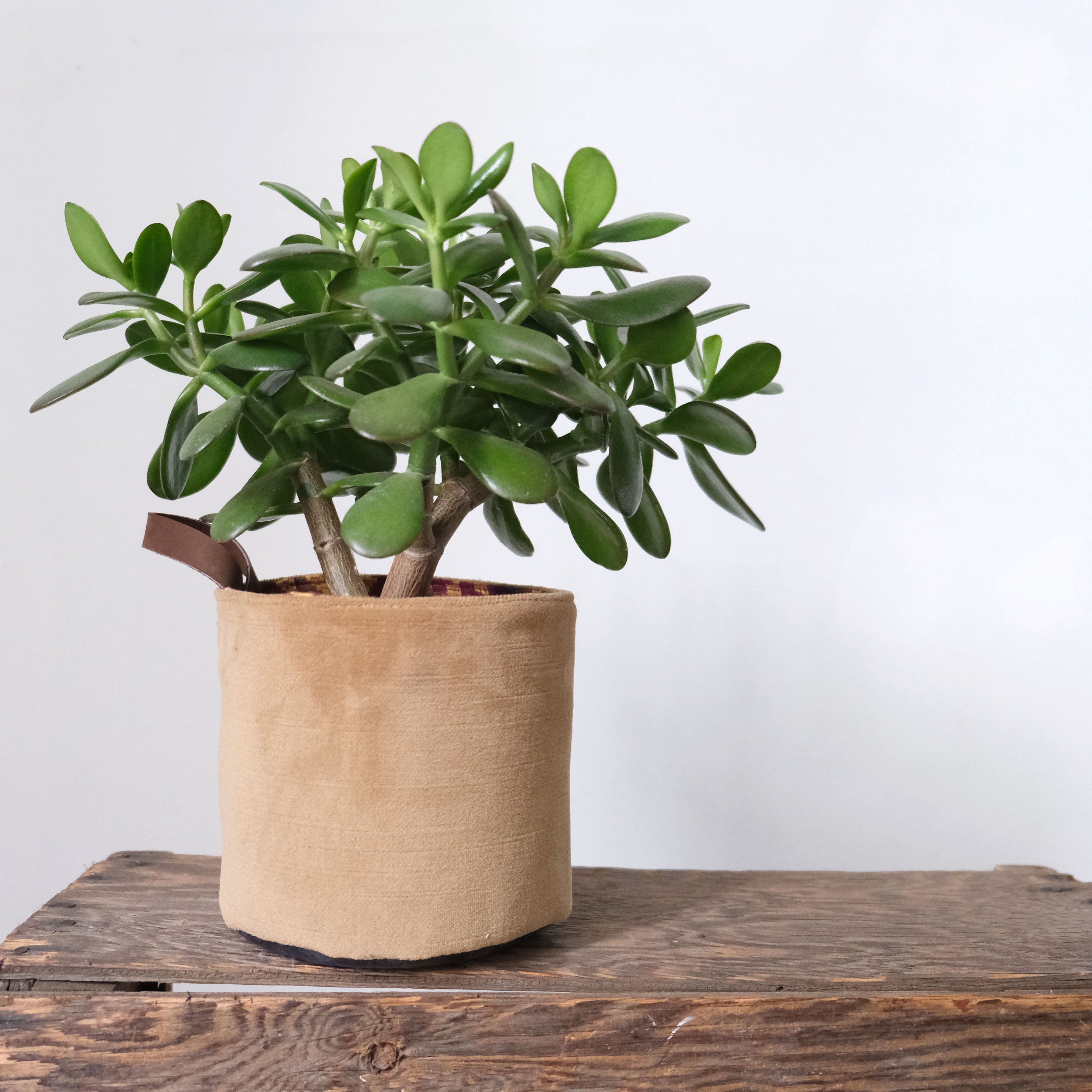 Housewear & Workwear – Pip Robins Accessories